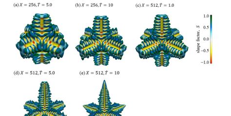 Dendrite Structures At The Maximum Of Calculated For Different Sets Of Download Scientific