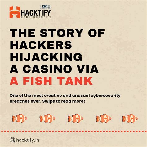 Hacktify Cyber Security On Linkedin Cybersecurity