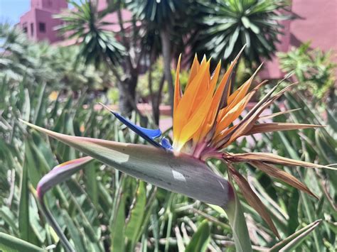 Five Years Ago My Ams1 Blipfoto