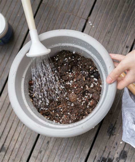 How To Make Compost 8 Easy Steps Gardening Pros All Use Real Homes