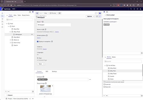 Blazor Components In Optimizely Cms Adminedit Interface