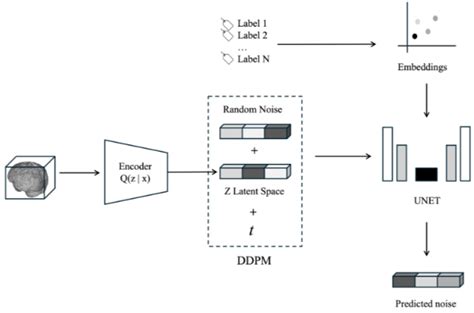 논문 리뷰 Diffusion Models For Conditional Mri Generation