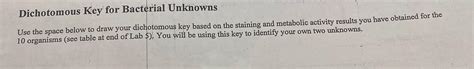 solved dichotomous key for bacterial unknowns use the space