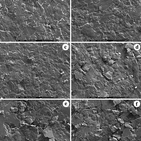 Surface Morphology Of HPMC Based Matrices A HPMC 0 B 5 C 10 D Download Scientific Diagram
