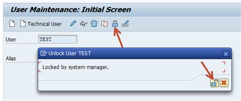 Sap User Administration