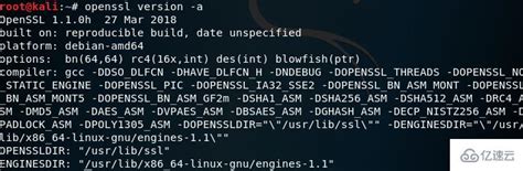 Linux系统中怎么安装openssl 开发技术 亿速云