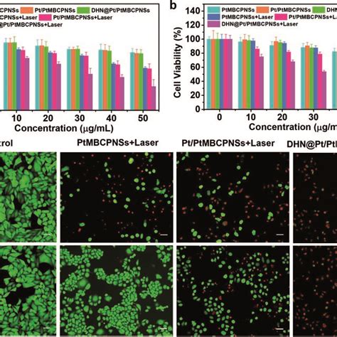 Synergistic Pdt And Chemotherapy In Vitro Cell Viability Levels Of