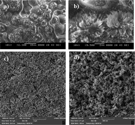 Sem Micrographs Of The Crystallized Polycarbonate Surface And Deposited Download Scientific