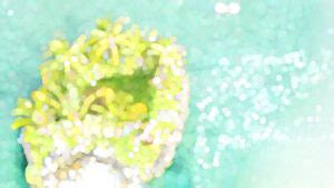 Shaders Godot Shaders