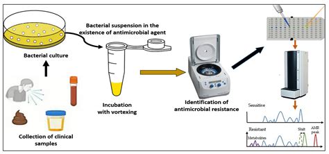 Implications Of Maldi Tof Ms For Microbial Recognition Encyclopedia Mdpi