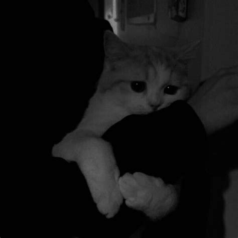 Nguyen Ngoc Khanh Linh