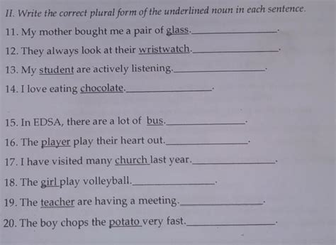 Ii Write The Correct Plural Form Of The Underlined Noun In Each