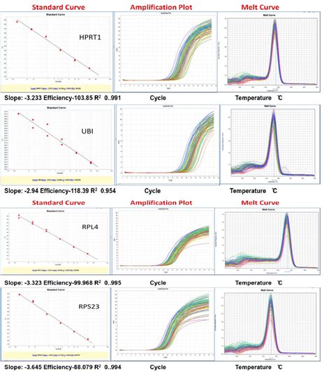 22b Qpcr Standard Curve Amplification Plot And Melt Curve Of Hprt1