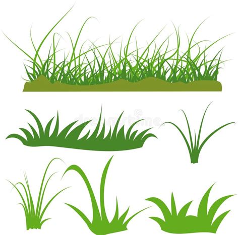 Grass Green Grass Leaves On White Background Stock Vector Illustration Of Tree Isolated