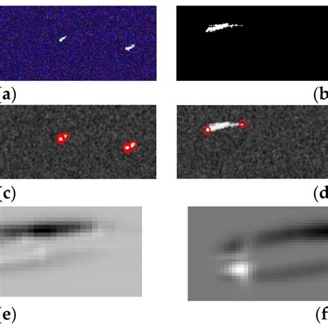 Synthetic Data And Keypoint Detection Results A Pauli Pseudo Color Download Scientific