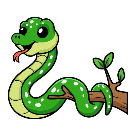Cute Green Tree Python Cartoon On Tree Branch 17206233 Vector Art At Vecteezy