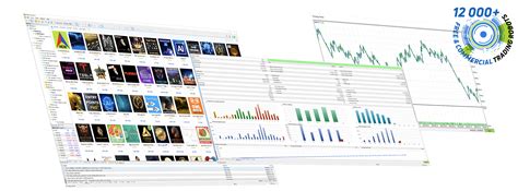 User Registration MQL