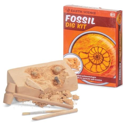 Our Wooden Toy Shop Fossil Dig Kit