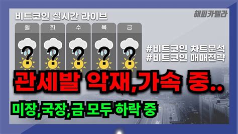 비트코인 실시간 관세발 악재 가중 미장국장금 모두 하락 중 47 저녁💎비트코인 비트코인실시간 이더리움 리플 Cryptocurrency 차트분석