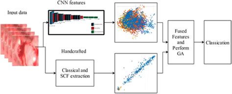 Classification Of Stomach Infections A Paradigm Of Convolutional