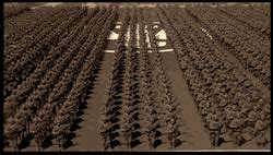 Starship Troopers NSFW Tumblr