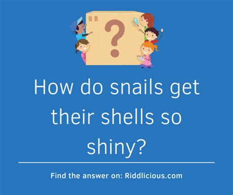 How Do Snails Get Their Shells So Shiny Riddlicious