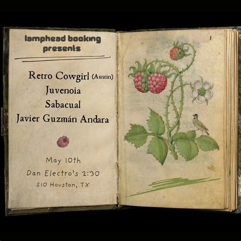 Juvenoia Juvenoia Band • Instagram Photos And Videos