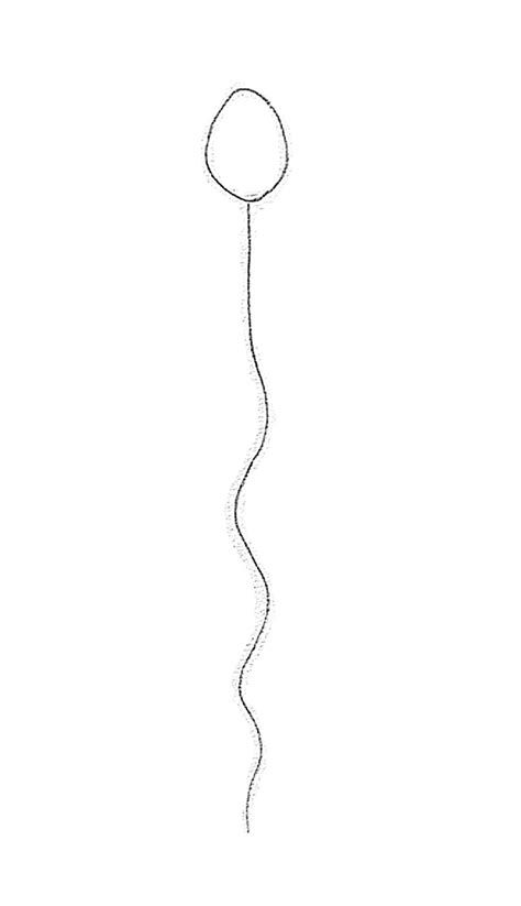 DRAW IT NEAT How To Draw Sperm Cell