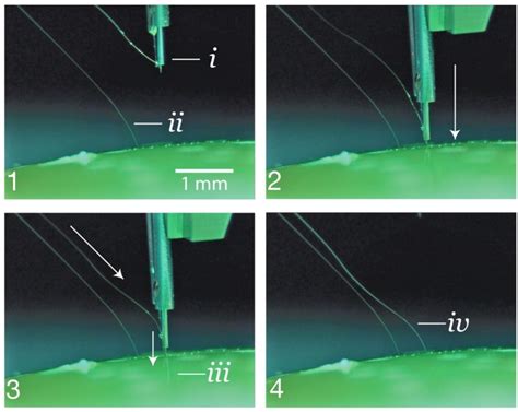 주식회사 지뉴인텍 뇌 컴퓨터 연결로 Ai 위협 넘자” 머스크 꿈 구체화