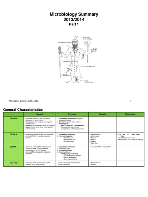 Microbiology Summary 13 14 Part 1 Pdf Streptococcus Anthrax