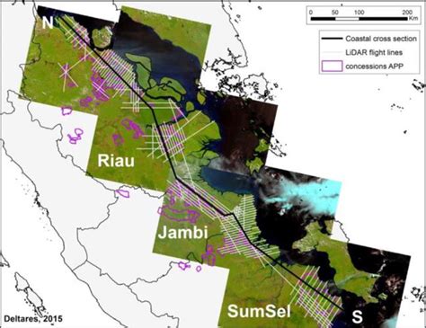 With Haze Threatening Return Indonesian Forestry Giant Pushes Peatlands Restoration Model