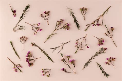 Página 16 Imágenes De Fondo Pantalla Pc Aesthetic Flores Descarga