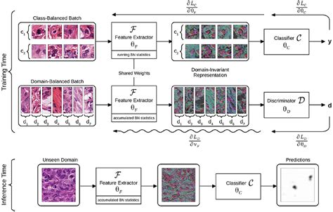 frontiers learning domain invariant representations of histological