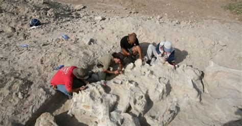 국내 과학자 몽골서 신종 공룡 화석 발견