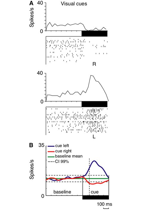 Spike Trains And Peristimulus Histograms Bin Width 50 Ms For A Neuron Download Scientific