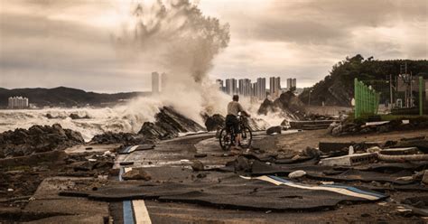 힌남노에 부서진 도로·집중호우 속 달리는 K 버스 사진 내년 세계기상기구 달력 수록