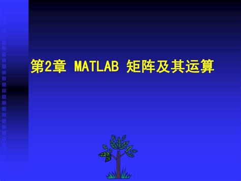 第2章 matlab矩阵及其运算 2 word文档在线阅读与下载 无忧文档