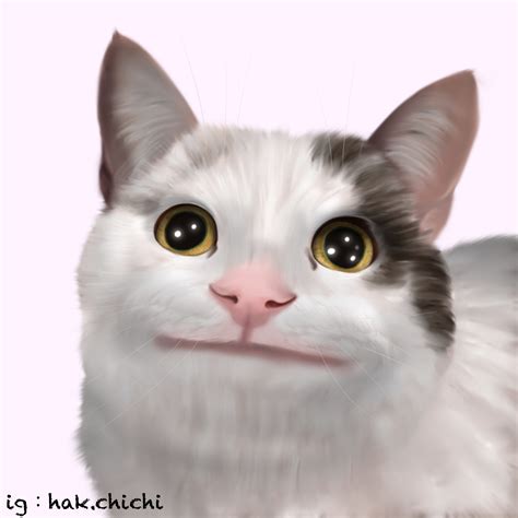 Polite Cat Image Gallery List View List View Know Your Meme