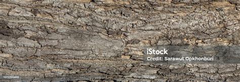 흰색 배경 사진에 나무 껍질의 Ebossed 질감 3d에 대한 높은 해상도 0명에 대한 스톡 사진 및 기타 이미지 0명 가구 공예 Istock