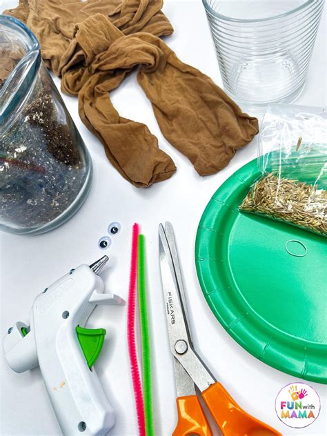 Silly Science Growing Grass Heads In A Cup Fun With Mama