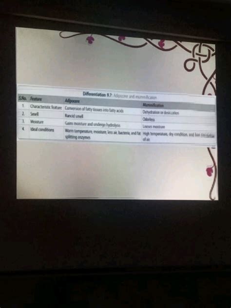 Mummification And Adipocere Pdf