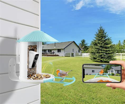 netvue birdfy first ai smart bird feeder for 6000 birds recognition