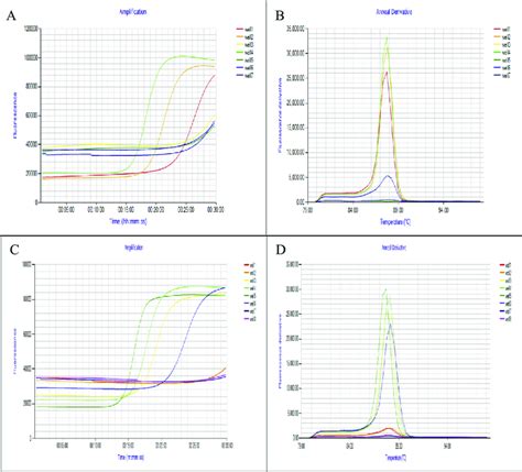 Optimization Of The Lamp Reaction Conditions For The Detection Of