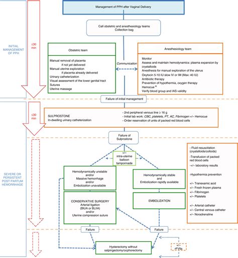 Management Of Postpartum Hemorrhage How To Improve Maternal Outcomes