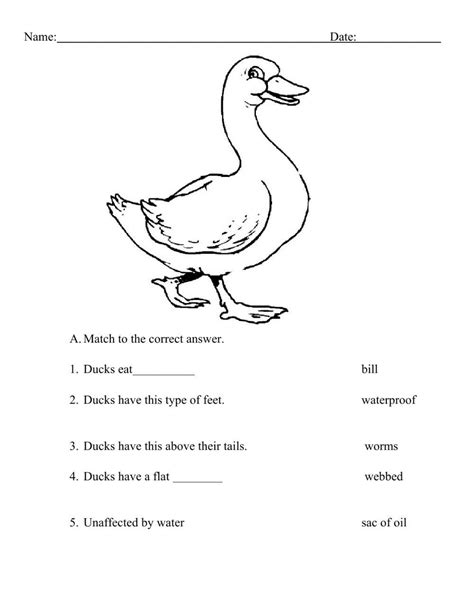 Grade 4 Fractions Worksheets Engaging Practice For Fraction Mastery