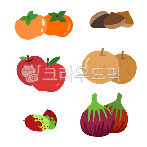 과일 일러스트 과일일러스트 가을 가을과일 사진이미지일러스트캘리그라피 사각하다작가