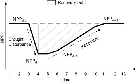 Conceptual Model Of Vegetation Net Primary Productivity NPP Shaped By Download Scientific