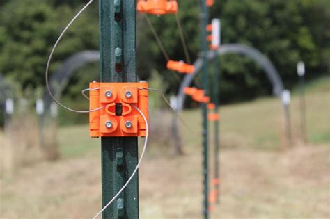 T Post Trellis Etsy