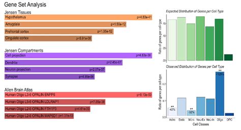Imaging Transcriptomics Gene Set Analysis The Gene Set Analysis Was Download Scientific