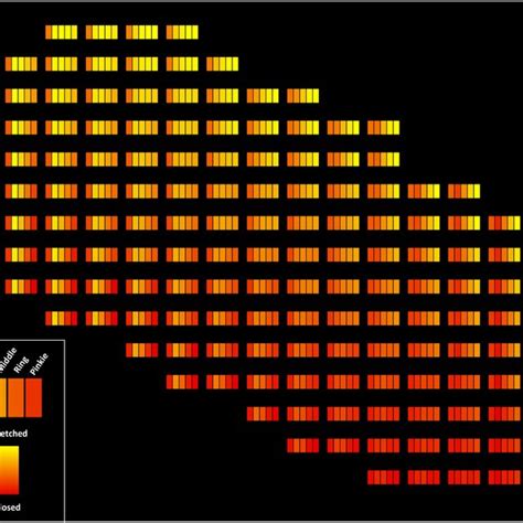 Rasterized Glyph Visualization Of Embedding A As Shown In The Legend Download Scientific